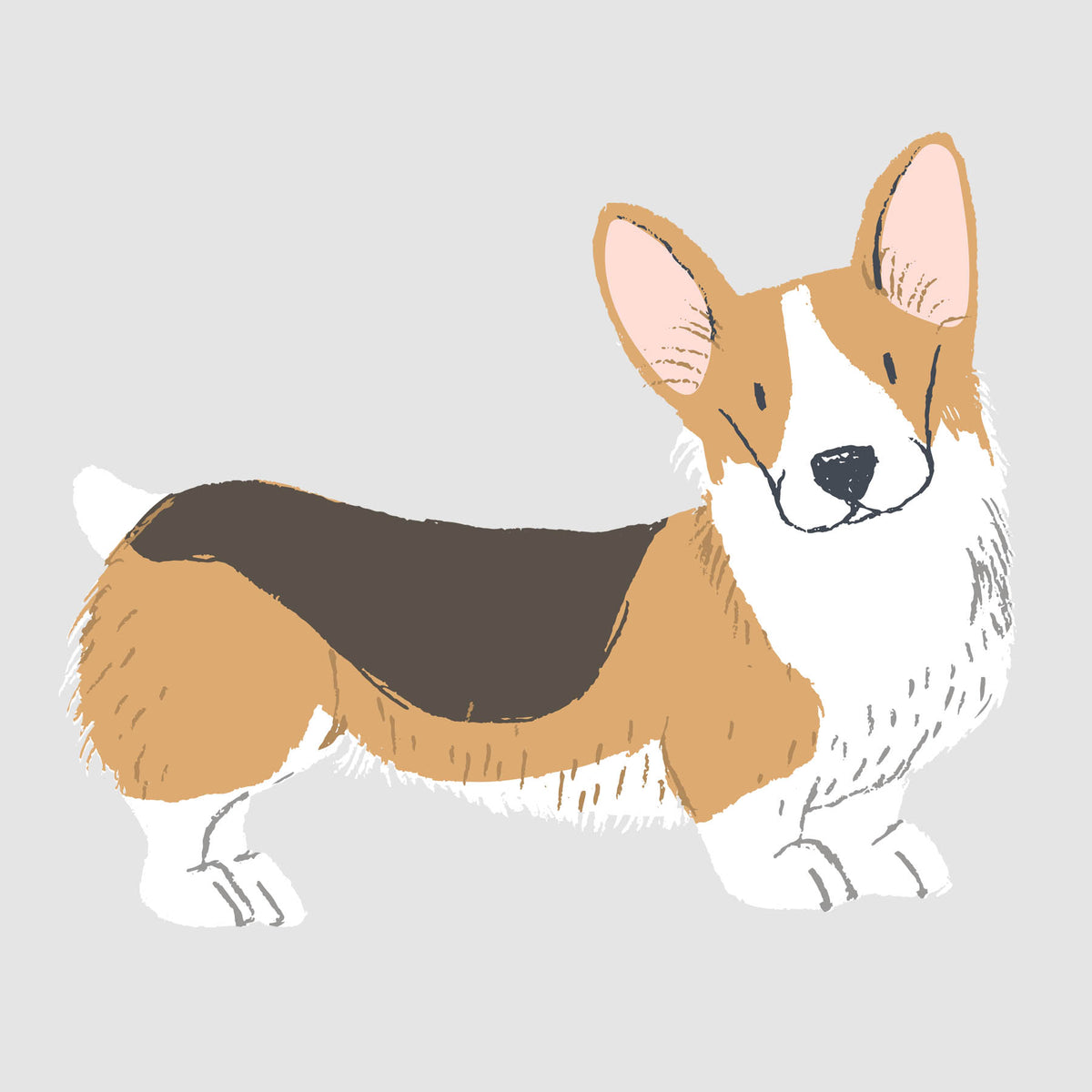 Corgi - DTF Transfer/Iron On or Heat Press – Wolf & Rabbit Fabrics