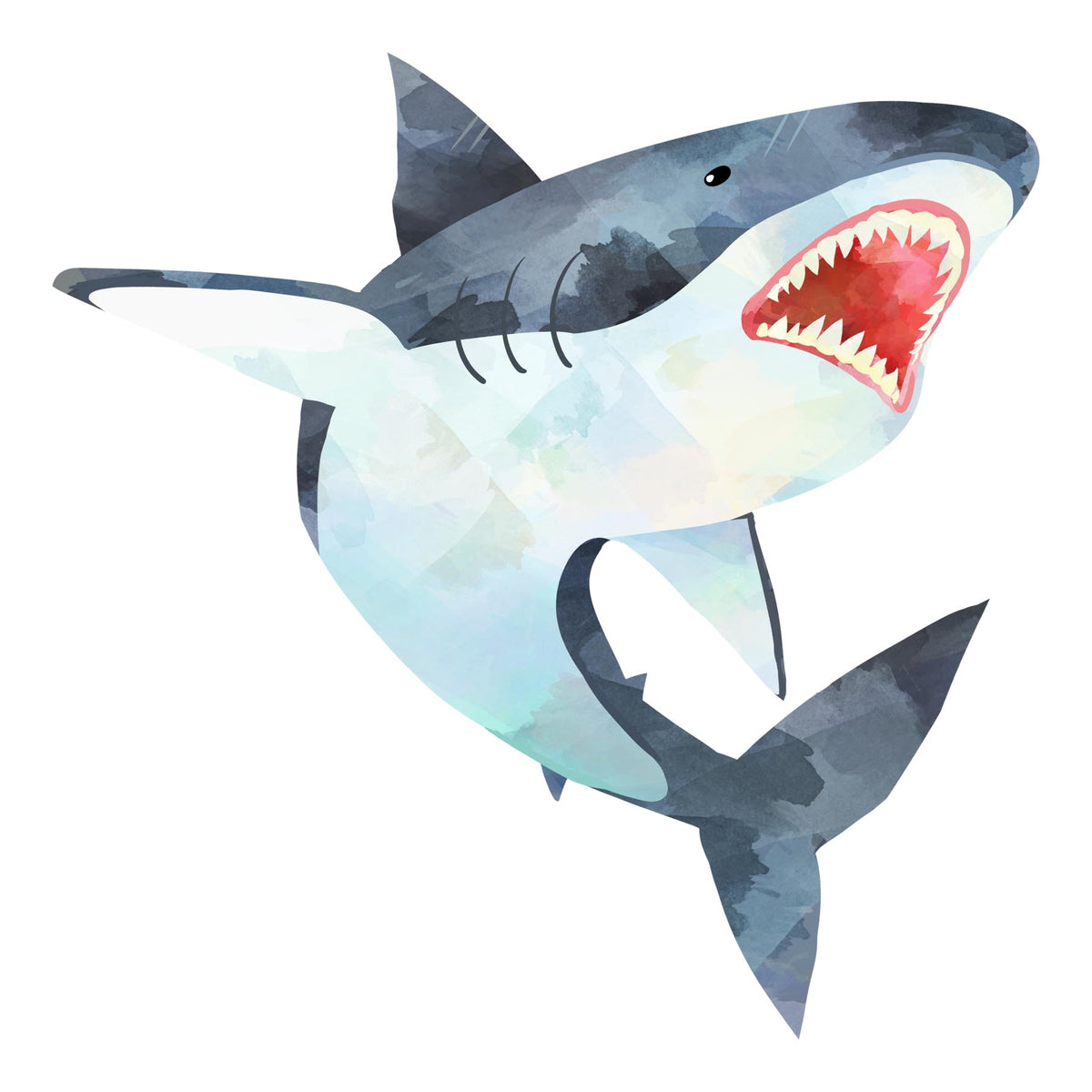 Great White Shark - DTF Transfer/Iron On or Heat Press – Wolf & Rabbit ...