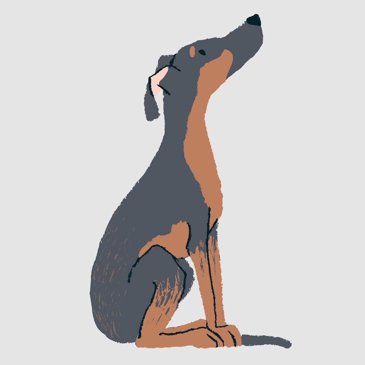 Wolf & Rabbit Fabrics - Ethical & organic fabric made in Europe.