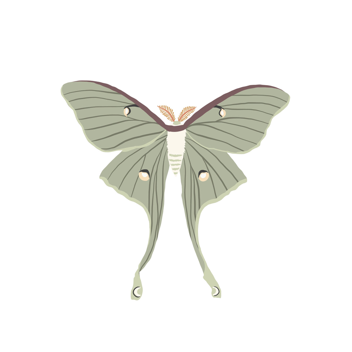 Luna Moth - DTF Transfer/Iron On or Heat Press – Wolf & Rabbit Fabrics