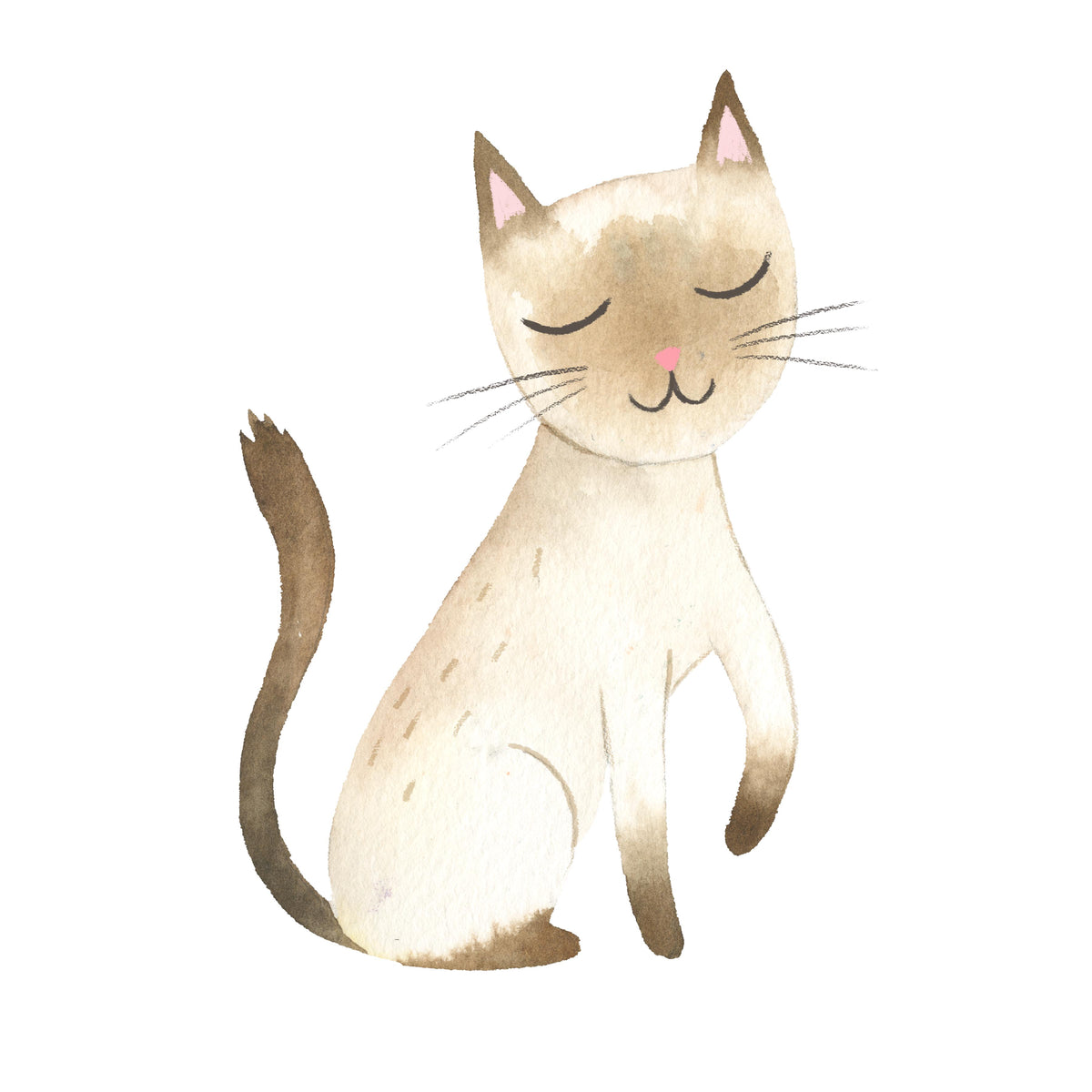 Siamese Cat - DTF Transfer/Iron On or Heat Press – Wolf & Rabbit Fabrics